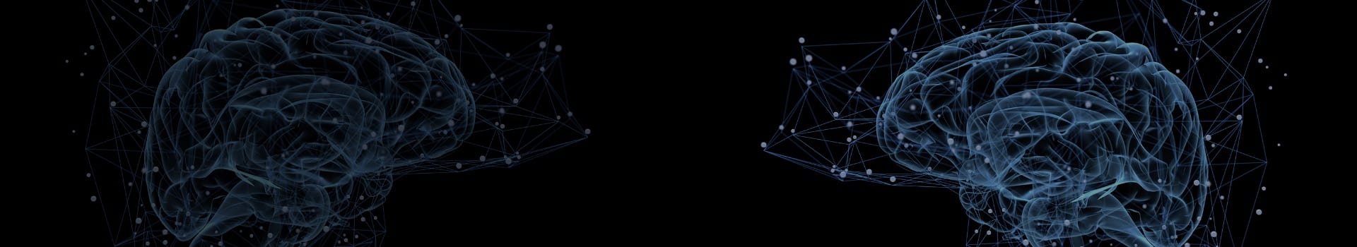 vienna-psychological-group-banner-brain-2 | Vienna Psychological Group